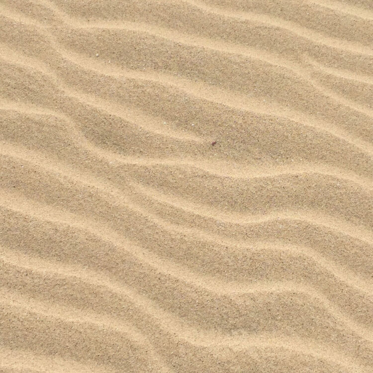 Best Sand for Building a Michigan Beach | TT&C Beaches